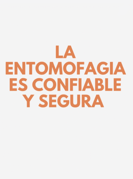 Optiprot | Proteína Sustentable a Base de Tenebrio molitor