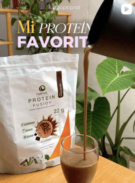 Optiprot | Proteína Sustentable a Base de Tenebrio molitor