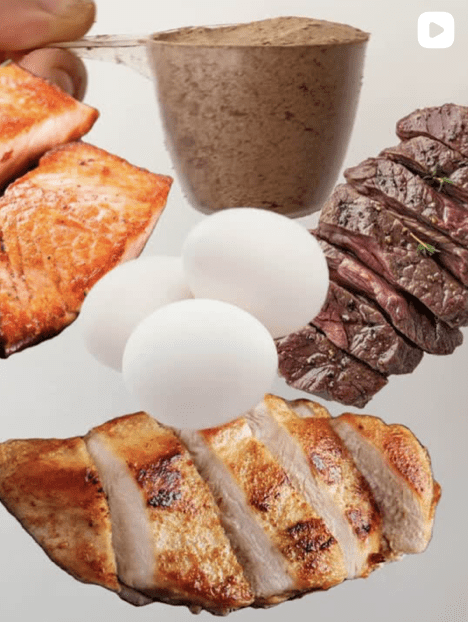 Optiprot | Proteína Sustentable a Base de Tenebrio molitor